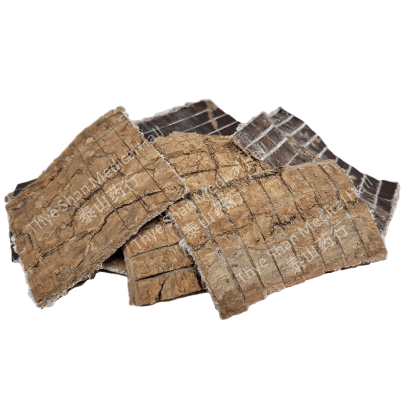 Du Zhong (Cortex Eucommiae) 150g 杜仲 - Thye Shan Medical Hall