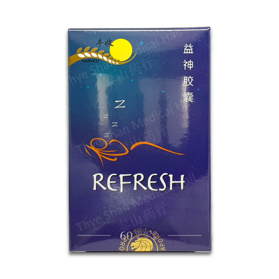 Po Chai Pills 保济丸 10 Bottles - Thye Shan Medical Hall