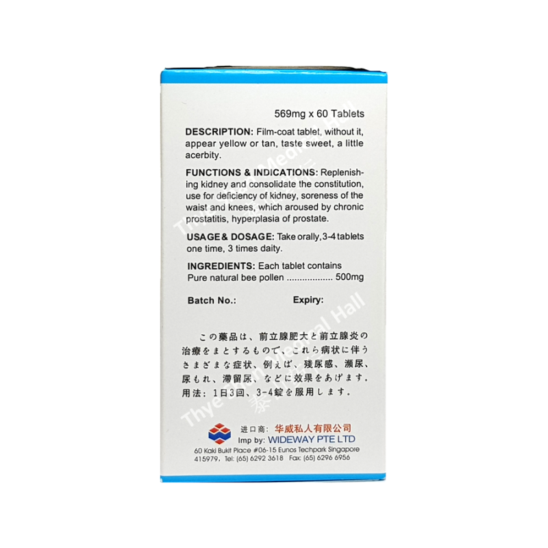 Po Chai Pills 保济丸 10 Bottles - Thye Shan Medical Hall