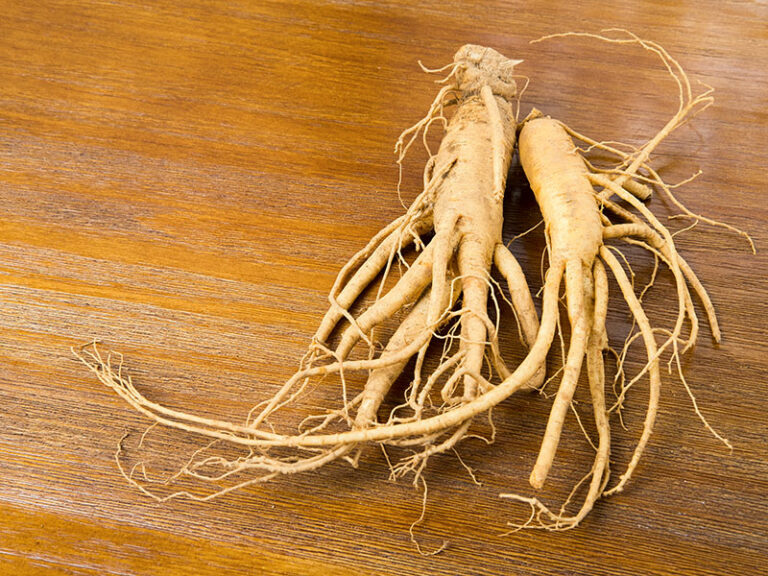 American Ginseng: A Root Plant with Superior Benefits - Thye Shan ...
